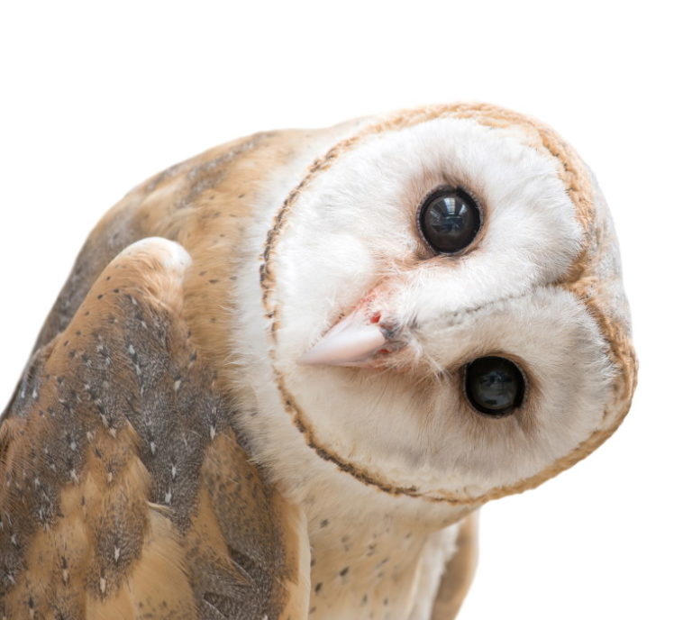 Madits poétiquement éméchés à l’a-près verre - Chasse au trésor